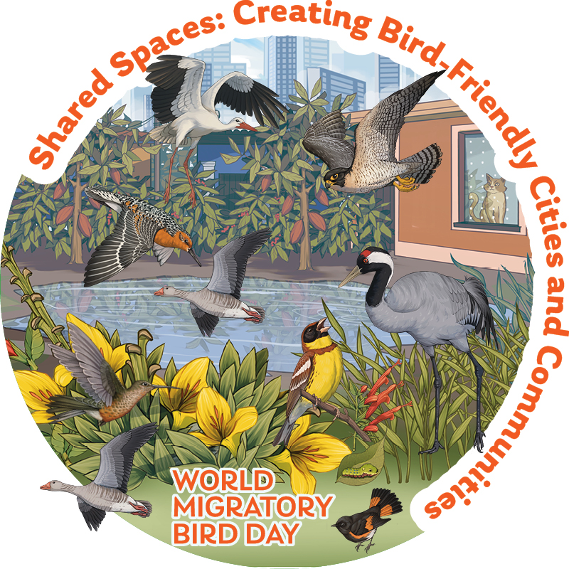 2025 WMBD Profile Image (Multiple languages) – EFTA Digital Resource Library