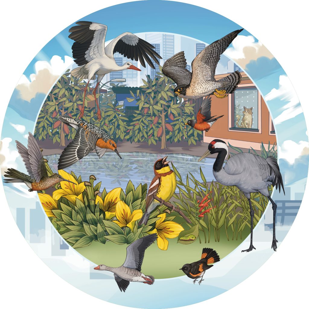 2025 WMBD Profile Image (Multiple languages) – EFTA Digital Resource Library