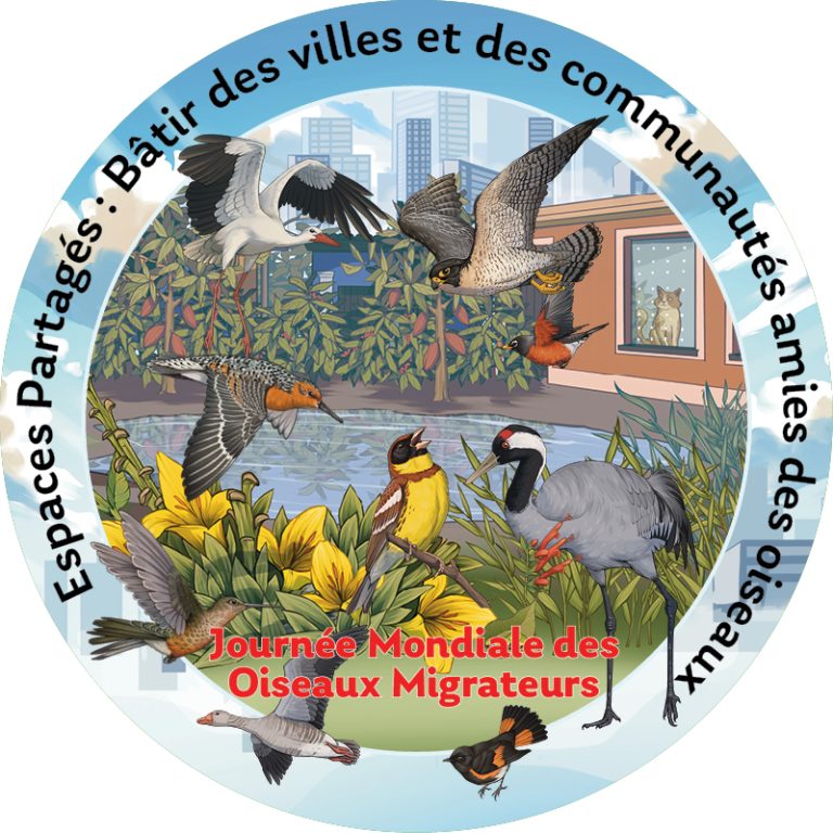 2025 WMBD Profile Image (Multiple languages) – EFTA Digital Resource Library