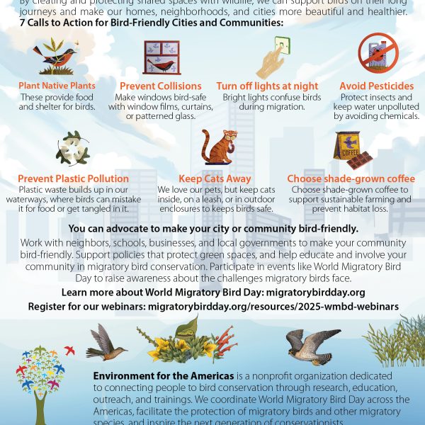 EFTA Digital Resource Library – Educational Materials and more