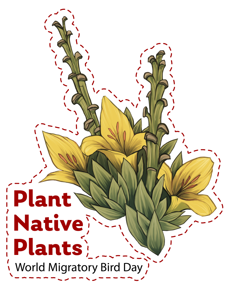 2025 WMBD Bird Images (English) – EFTA Digital Resource Library