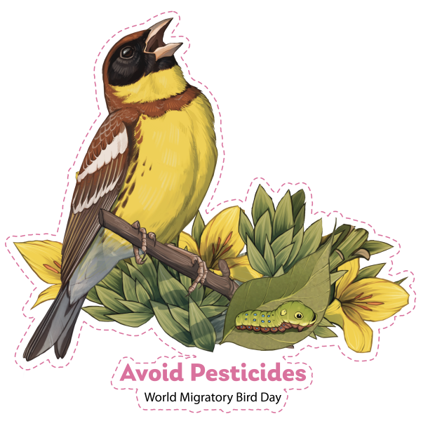 EFTA Digital Resource Library – Educational Materials and more