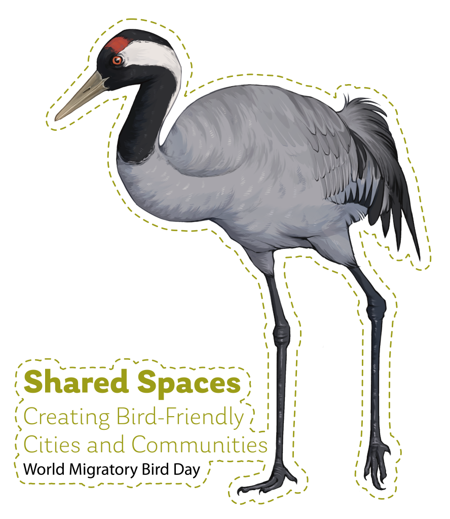 2025 WMBD Bird Images (English) – EFTA Digital Resource Library