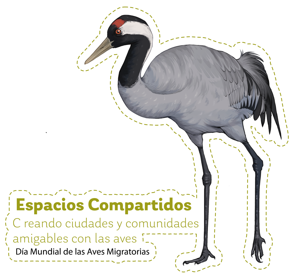 2025 WMBD Bird Images (Spanish) – EFTA Digital Resource Library