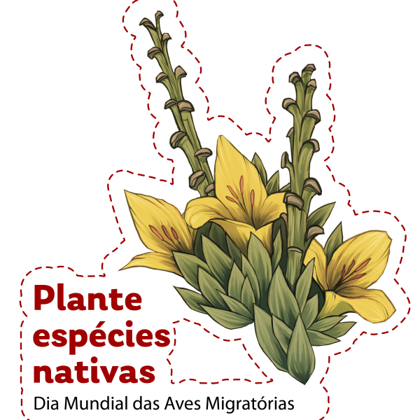 EFTA Digital Resource Library – Educational Materials and more