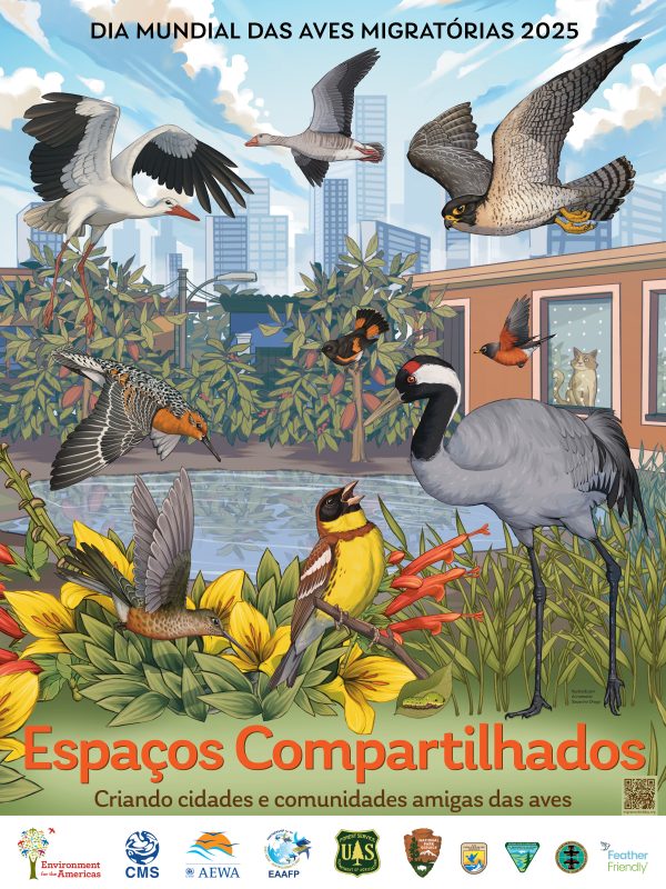 2025 WMBD Poster (Portuguese) – EFTA Digital Resource Library